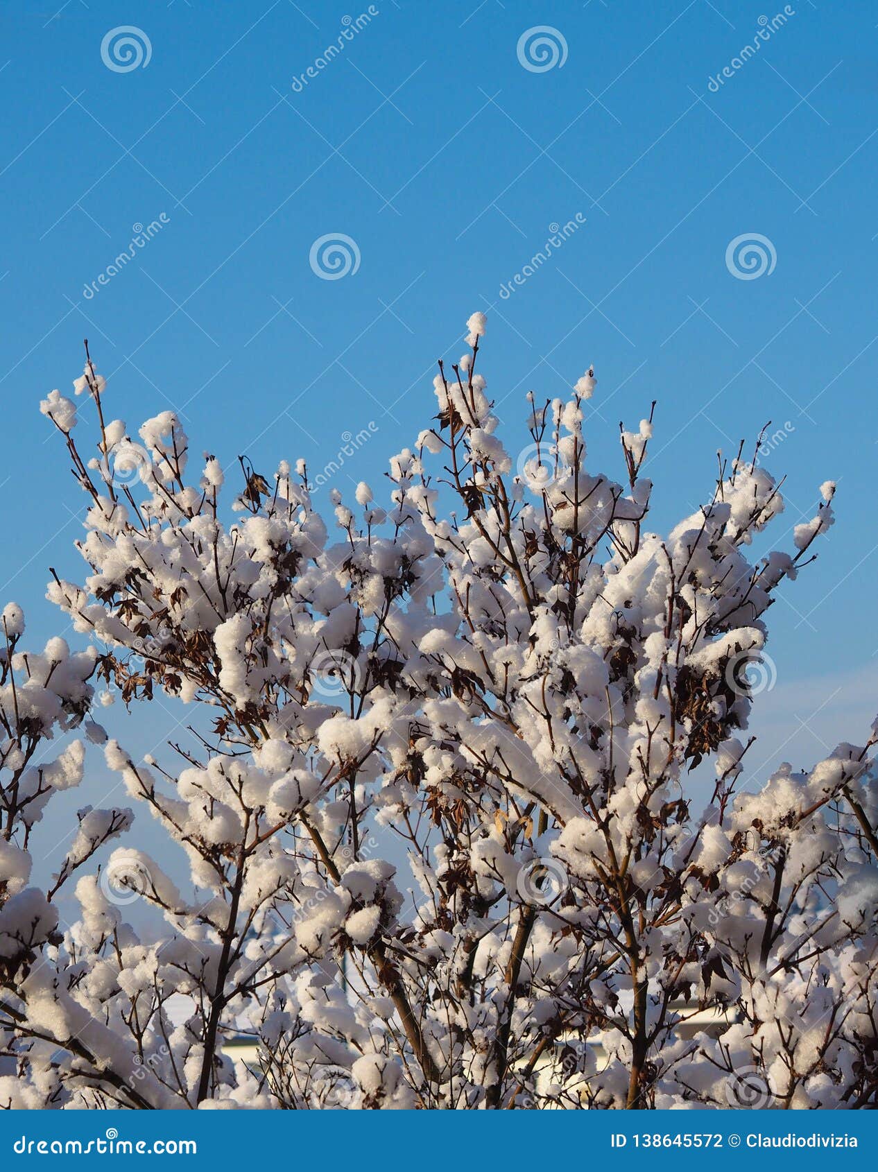 Winter scene with snow stock photo. Image of white, cold - 138645572
