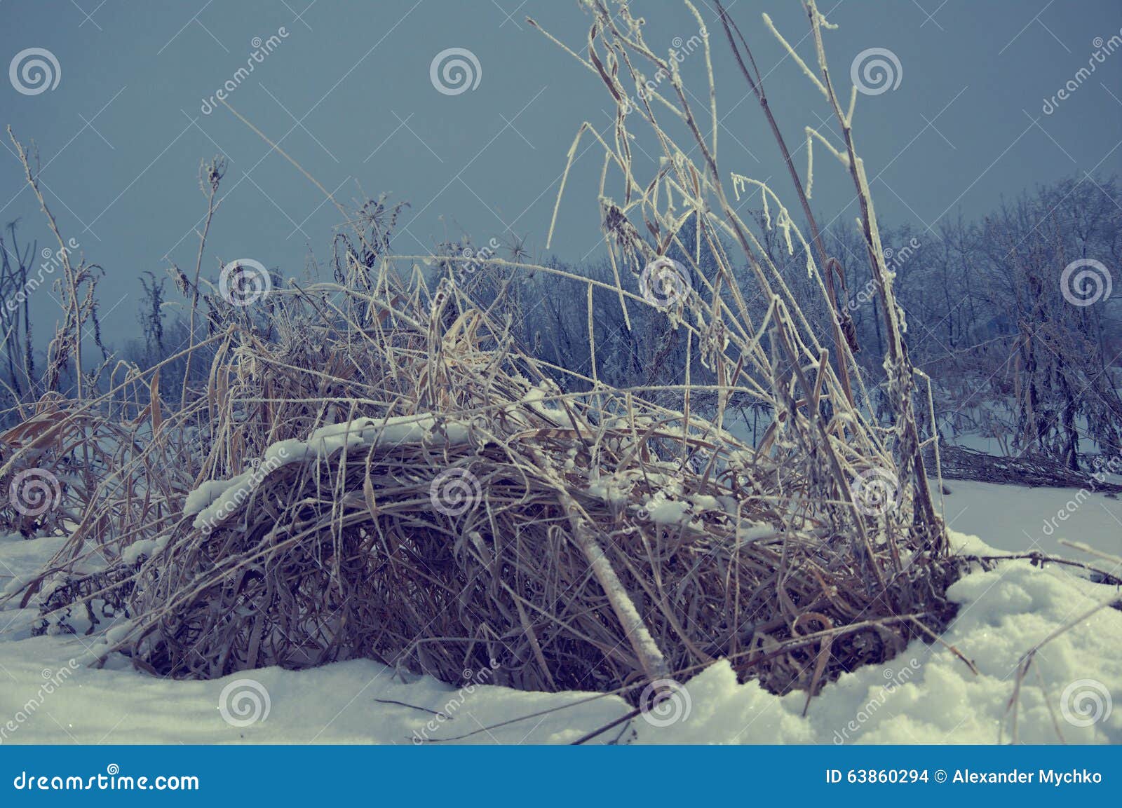 Winter scene stock photo. Image of winter, north, frozen - 63860294