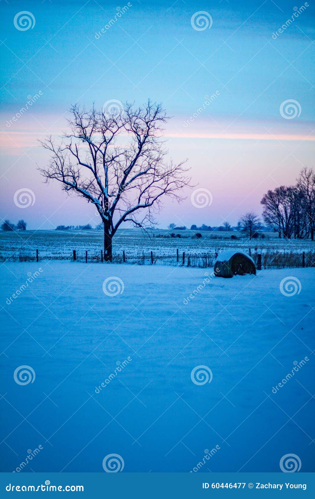 Winter Scene stock image. Image of hill, scenics, morning - 60446477