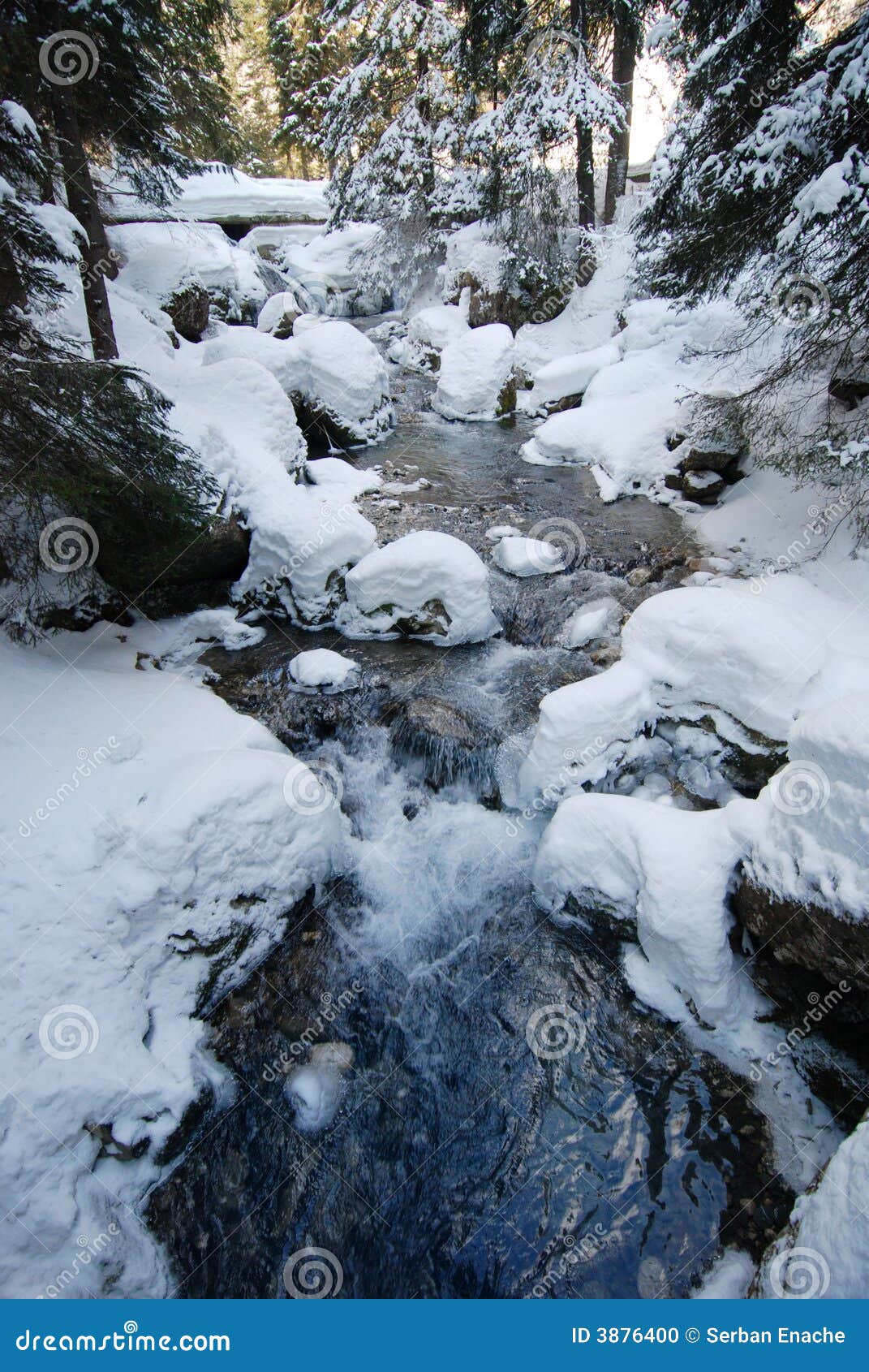 Winter Scene with Stream stock photo. Image of forest - 3876400