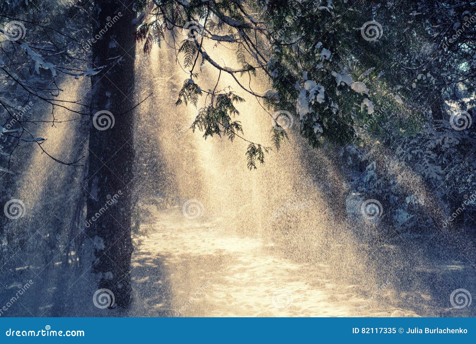 Winter scene with sun rays stock image. Image of landscape - 82117335