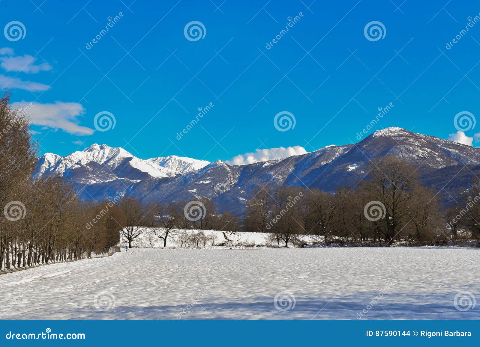Winter Scene in the Swamp with Snow Stock Photo - Image of blue, swamp ...