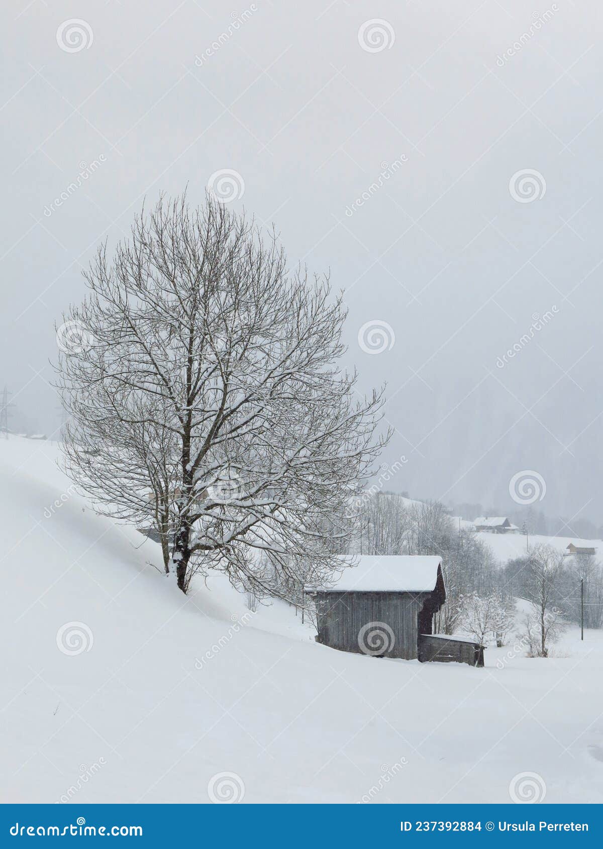 Winter Scene in the Swiss Alps Stock Photo - Image of rural, gstaad ...