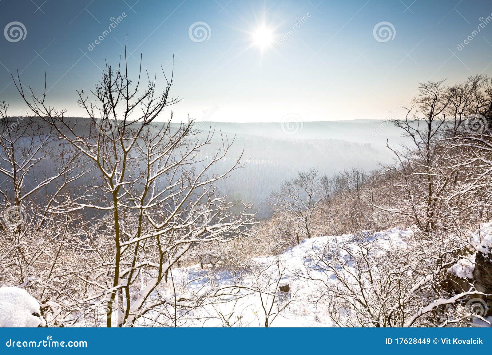 Winter Scene, Tree and Distant Stock Image - Image of hills, bright ...