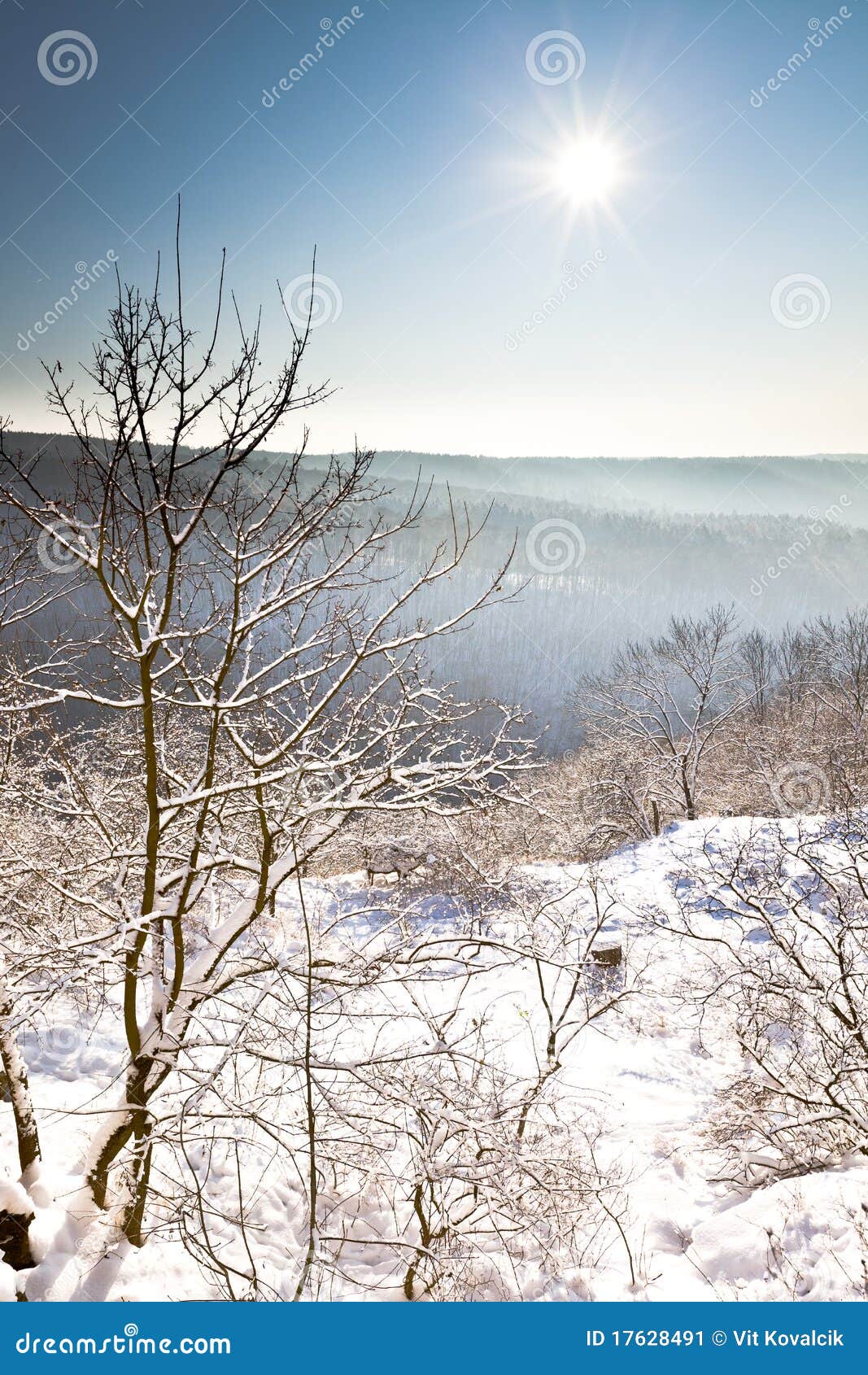 Winter Scene, Tree and Distant Stock Image - Image of tree, snow: 17628491