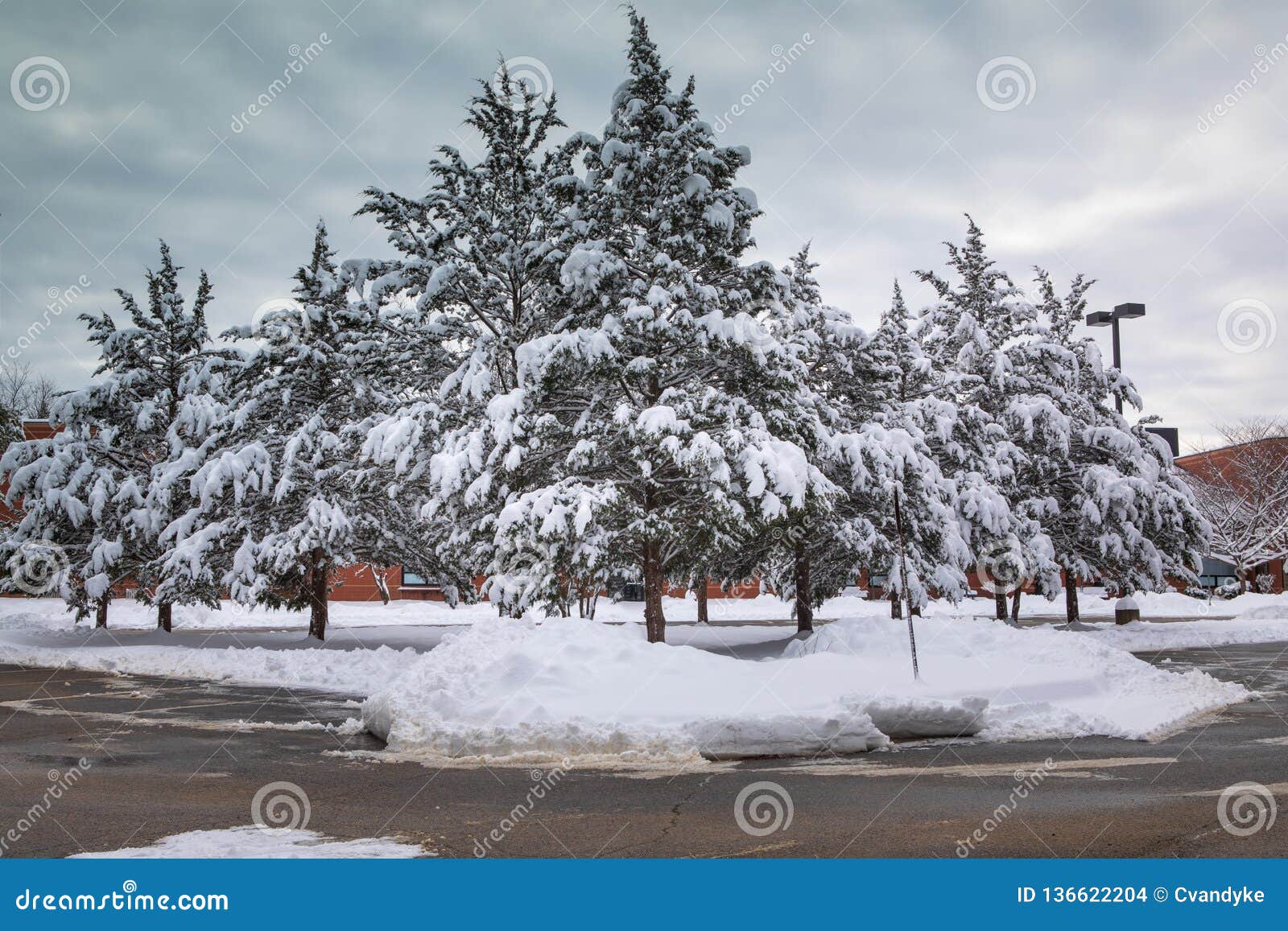 Winter Scene of Trees Covered in Snow Stock Photo - Image of nature ...