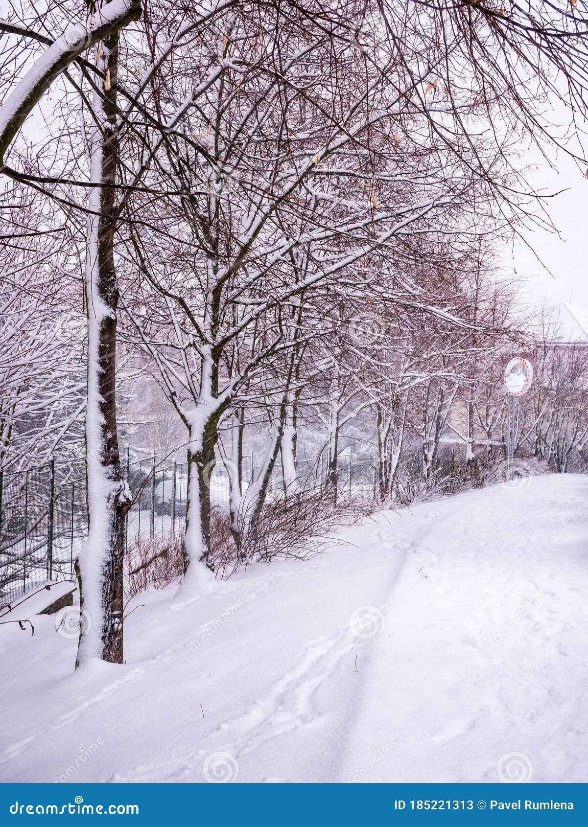 Winter Scene with a Walkway and Trees Covered with Snow - - Snowfall ...