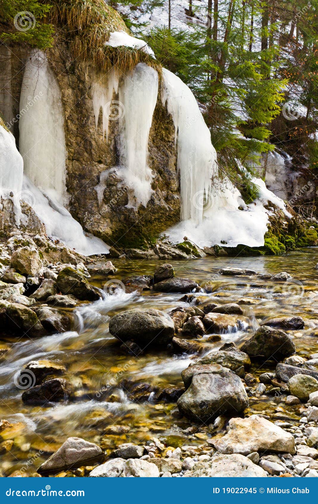 Winter Scene of the White Creek Stock Image - Image of hiking, pine ...
