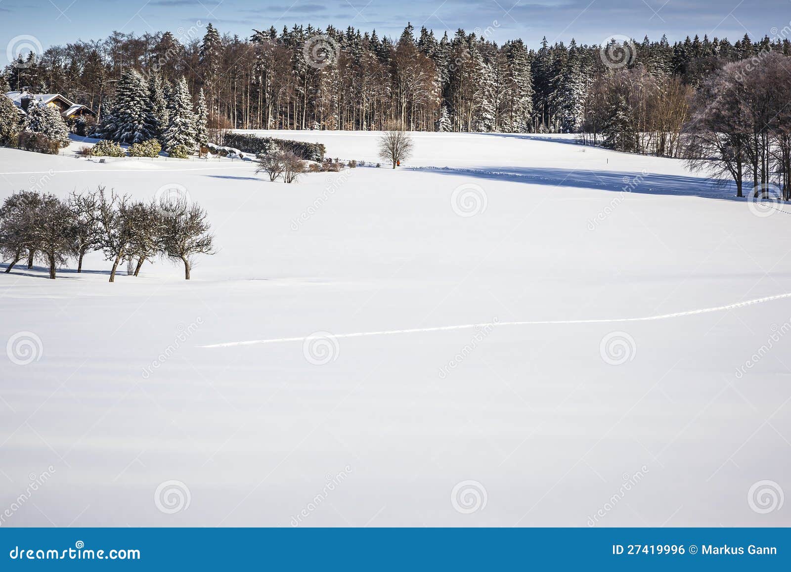 Winter scenery stock photo. Image of cool, january, countryside - 27419996