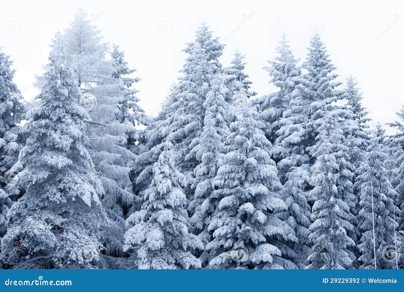 Winter Scenery stock photo. Image of deep, place, cover - 29229392