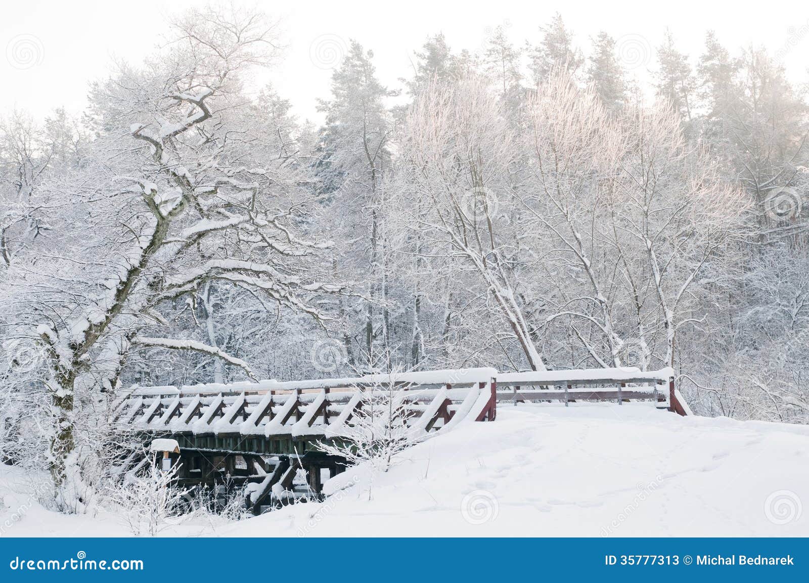 Forest Bridge Stock Photography | CartoonDealer.com #43185092