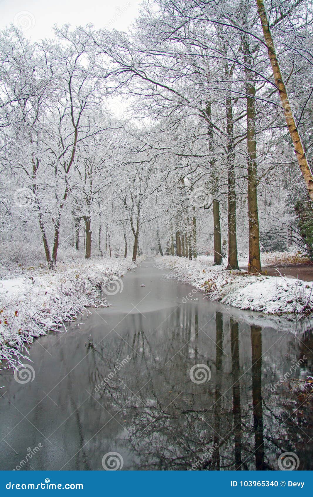 Winter Scenery Netherlands Stock Images - Download 2,449 Royalty Free ...