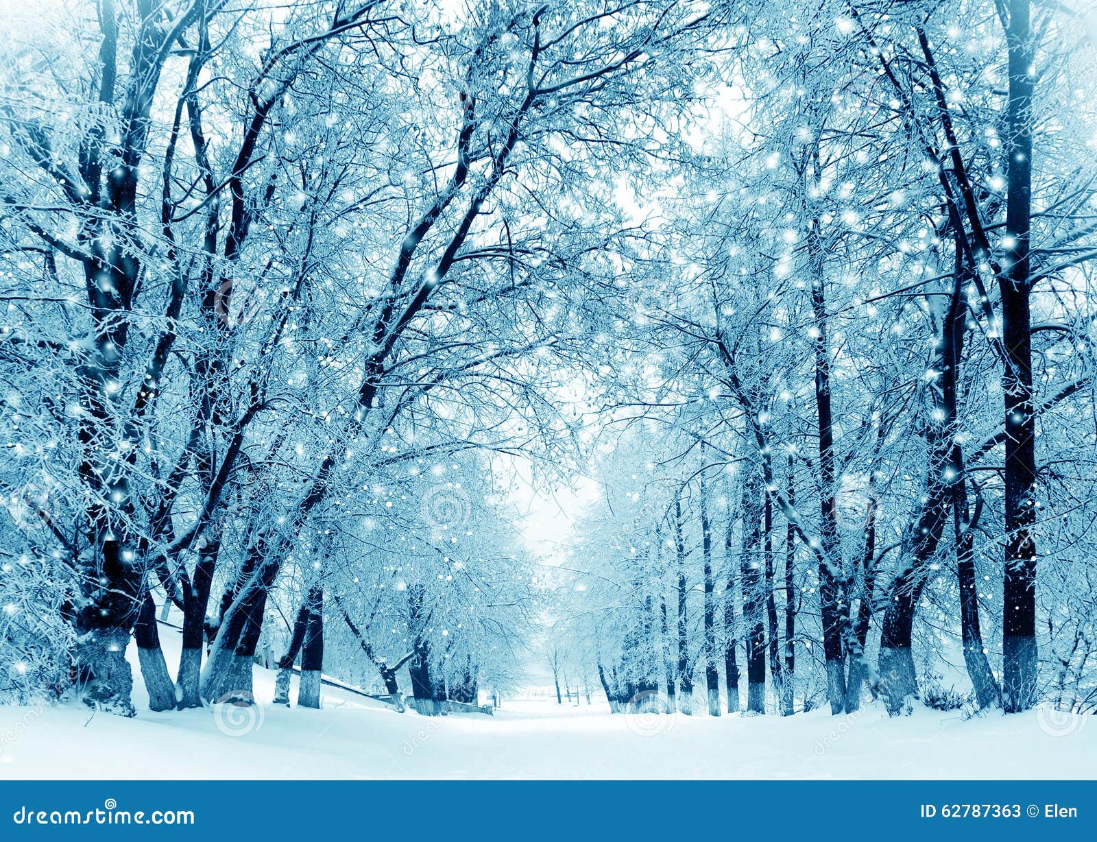 Winter Scenery, Frosty Trees in Park Stock Image - Image of city ...