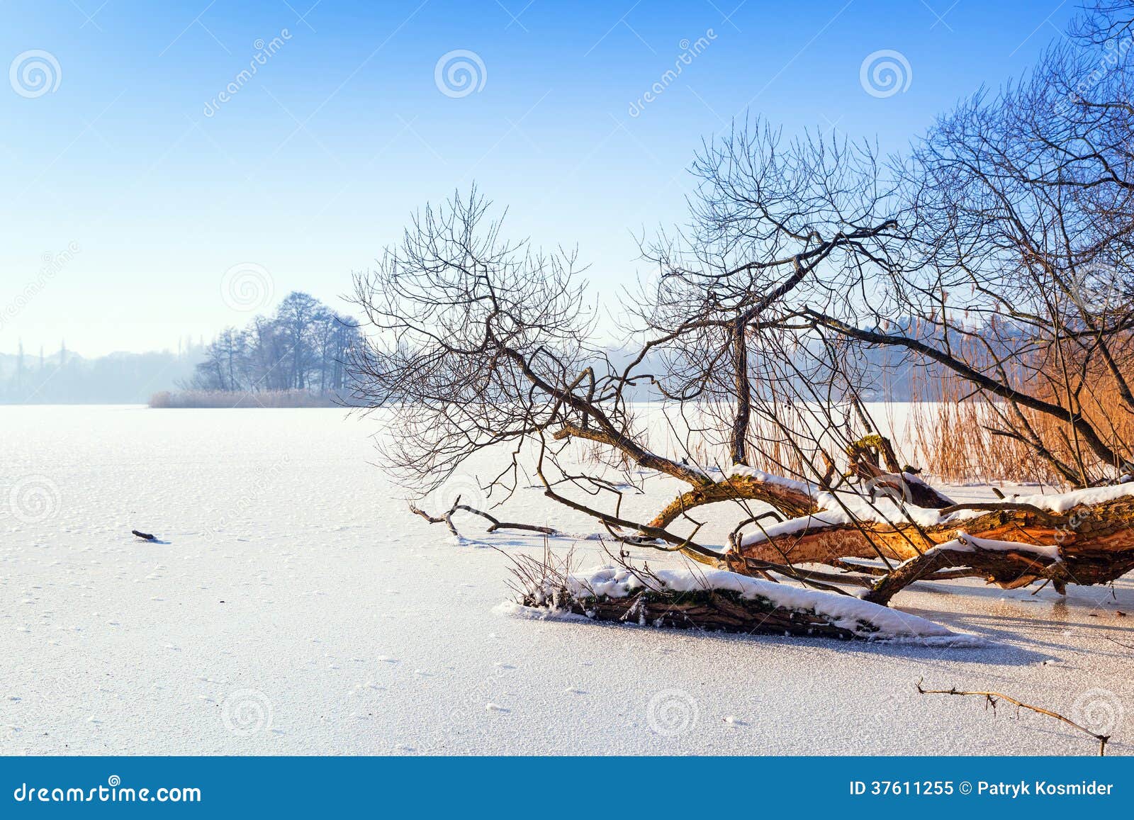 Winter Scenery of Frozen Lake Stock Image - Image of frost, pomeranian ...