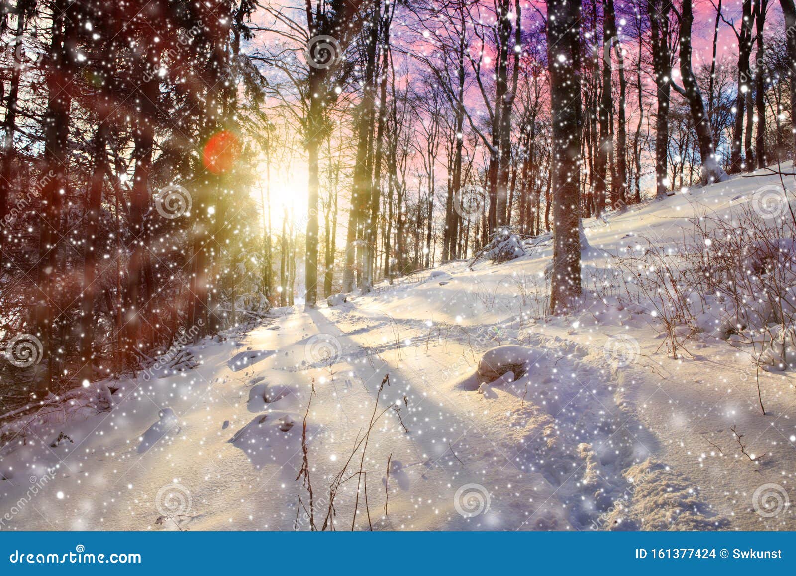 Winter Scenery in Germany with Snowfall and Sunlight. Stock Photo ...