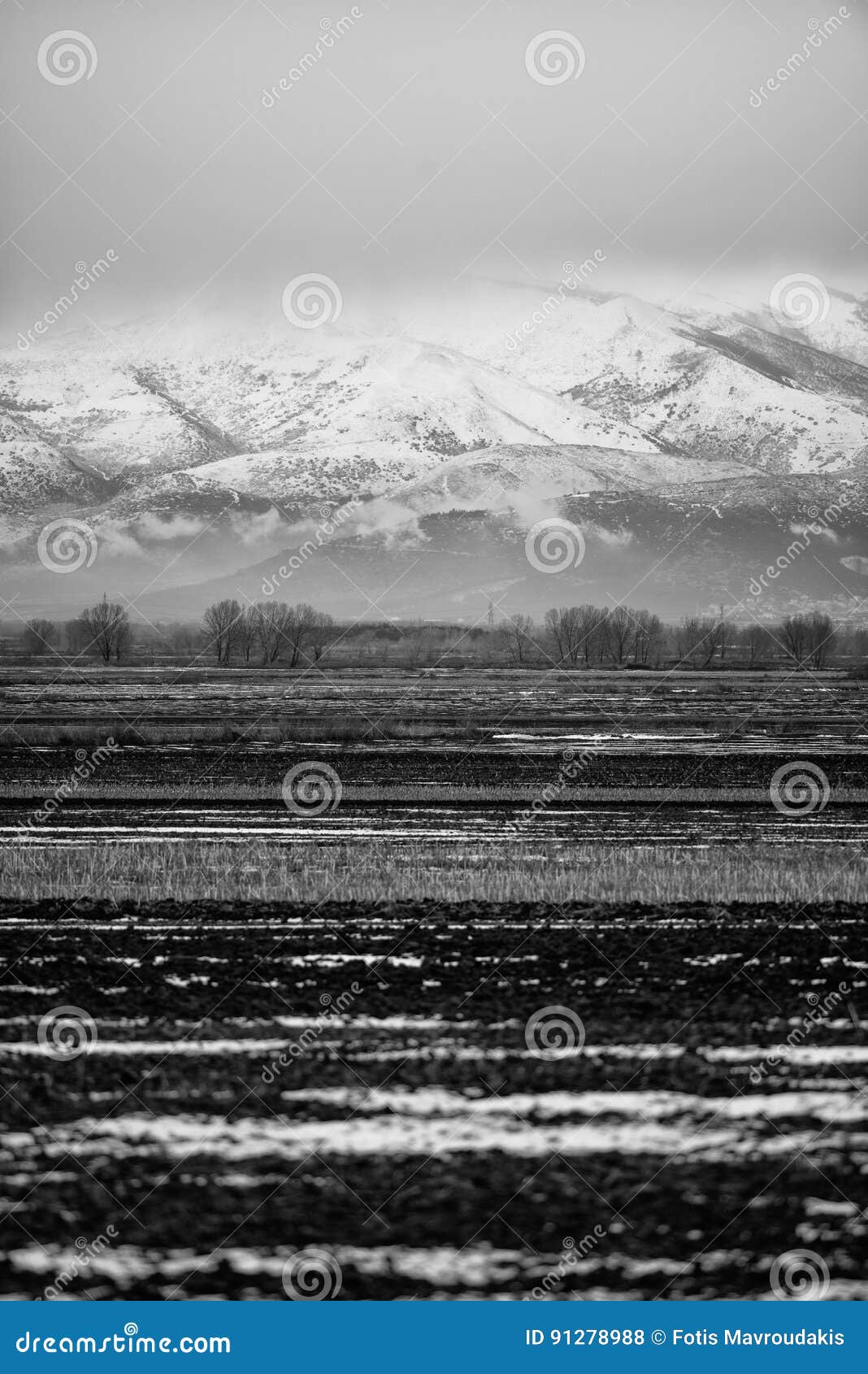 Winter scenery stock photo. Image of canal, cloud, cold - 91278988