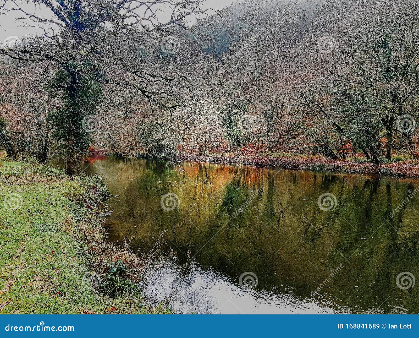 Winter Scenery of the River Tavy , Devon, Uk Stock Image - Image of ...