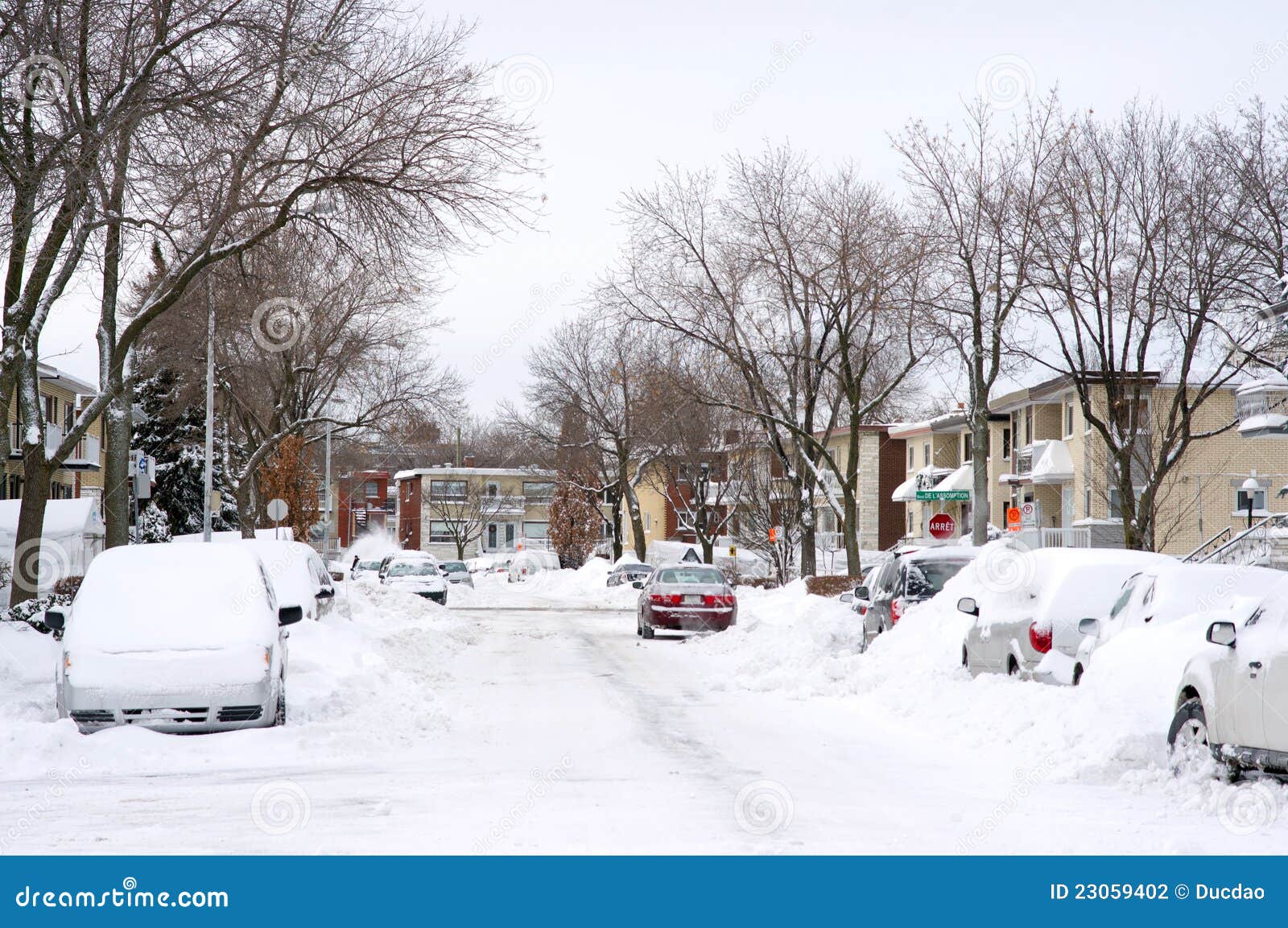 Winter Scenery after a Snow Storm Stock Photo - Image of polar, street ...