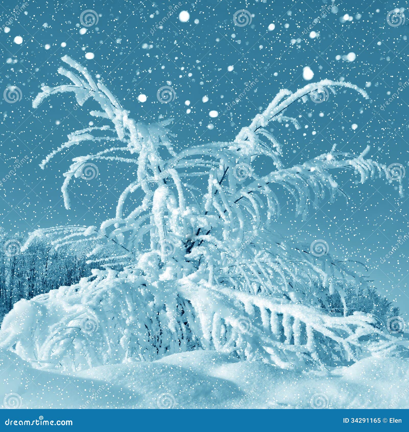 Winter scenery, snowstorm stock image. Image of fairy - 34291165