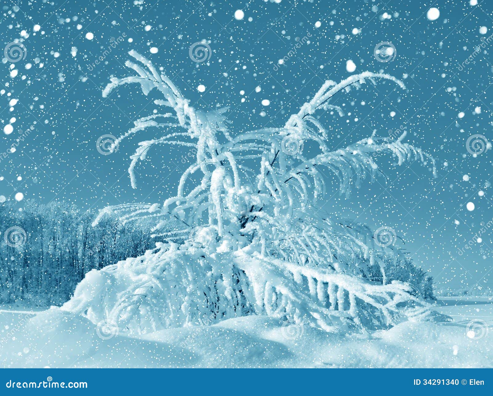 Winter scenery, snowstorm stock illustration. Illustration of fine ...