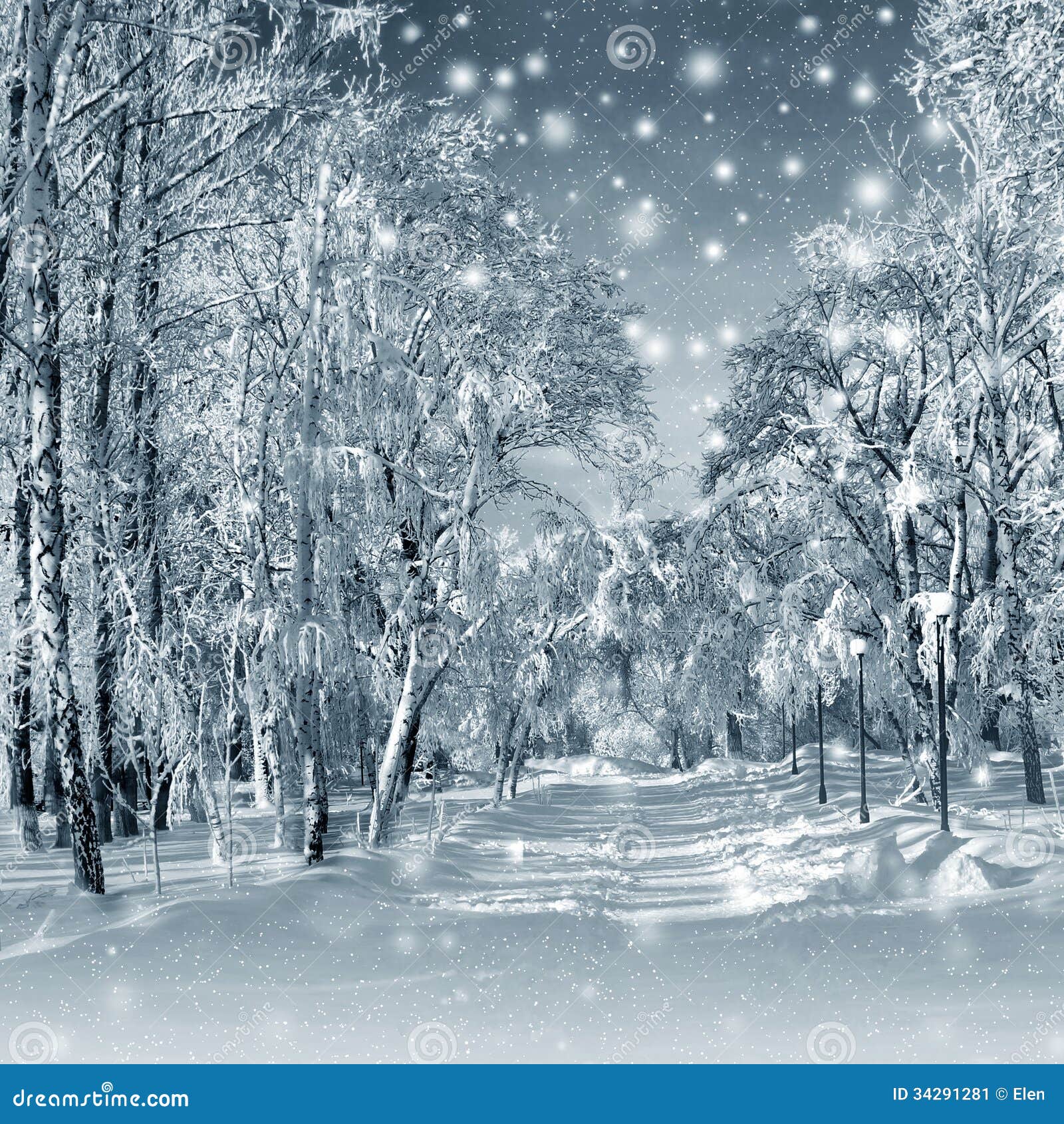 Winter scenery, snowstorm stock image. Image of snowstorm - 34291281