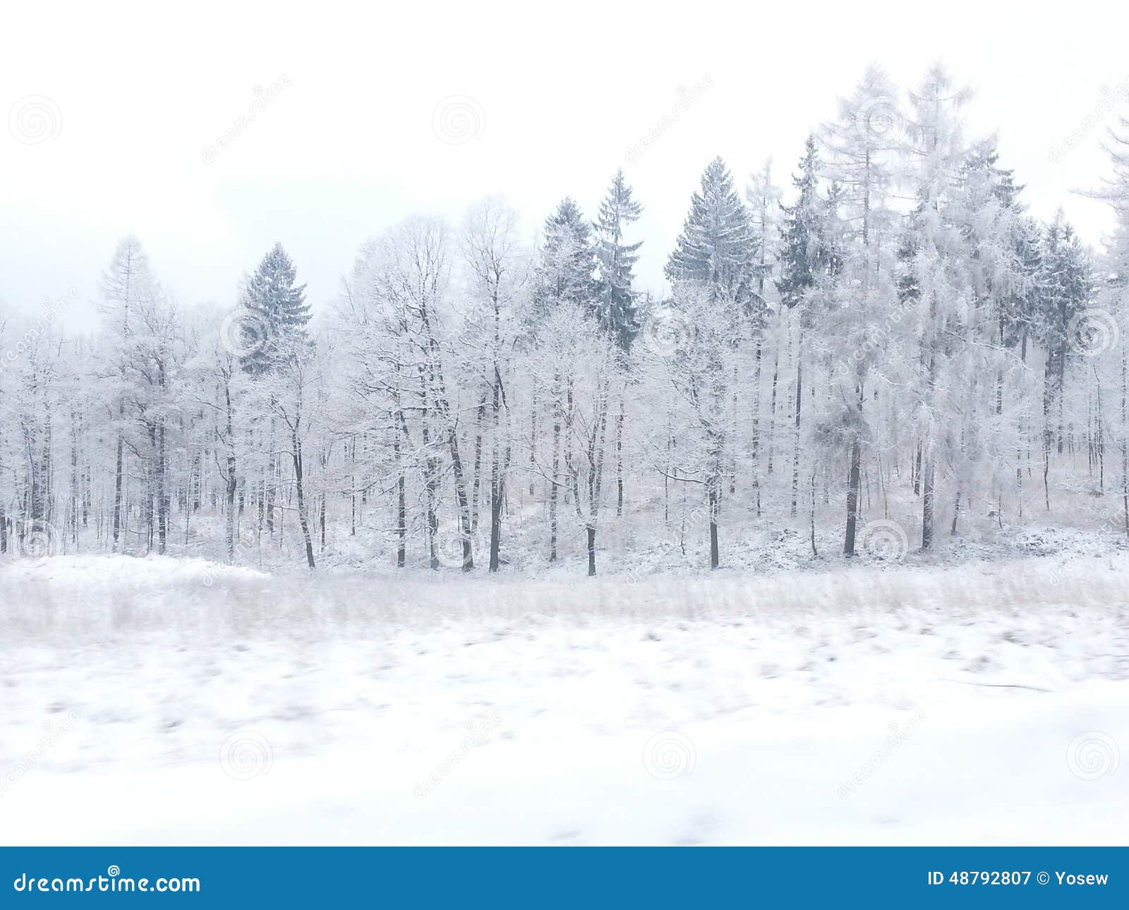 Winter scenery stock image. Image of white, cold, trees - 48792807