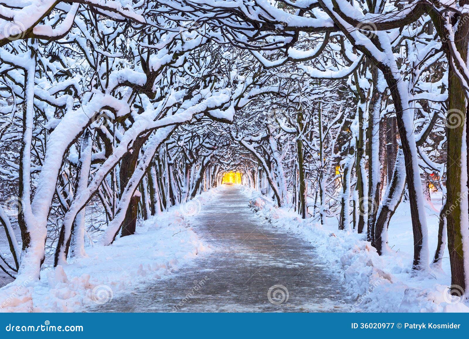 Winter Scenery of Snowy Park in Gdansk Stock Image - Image of bright ...