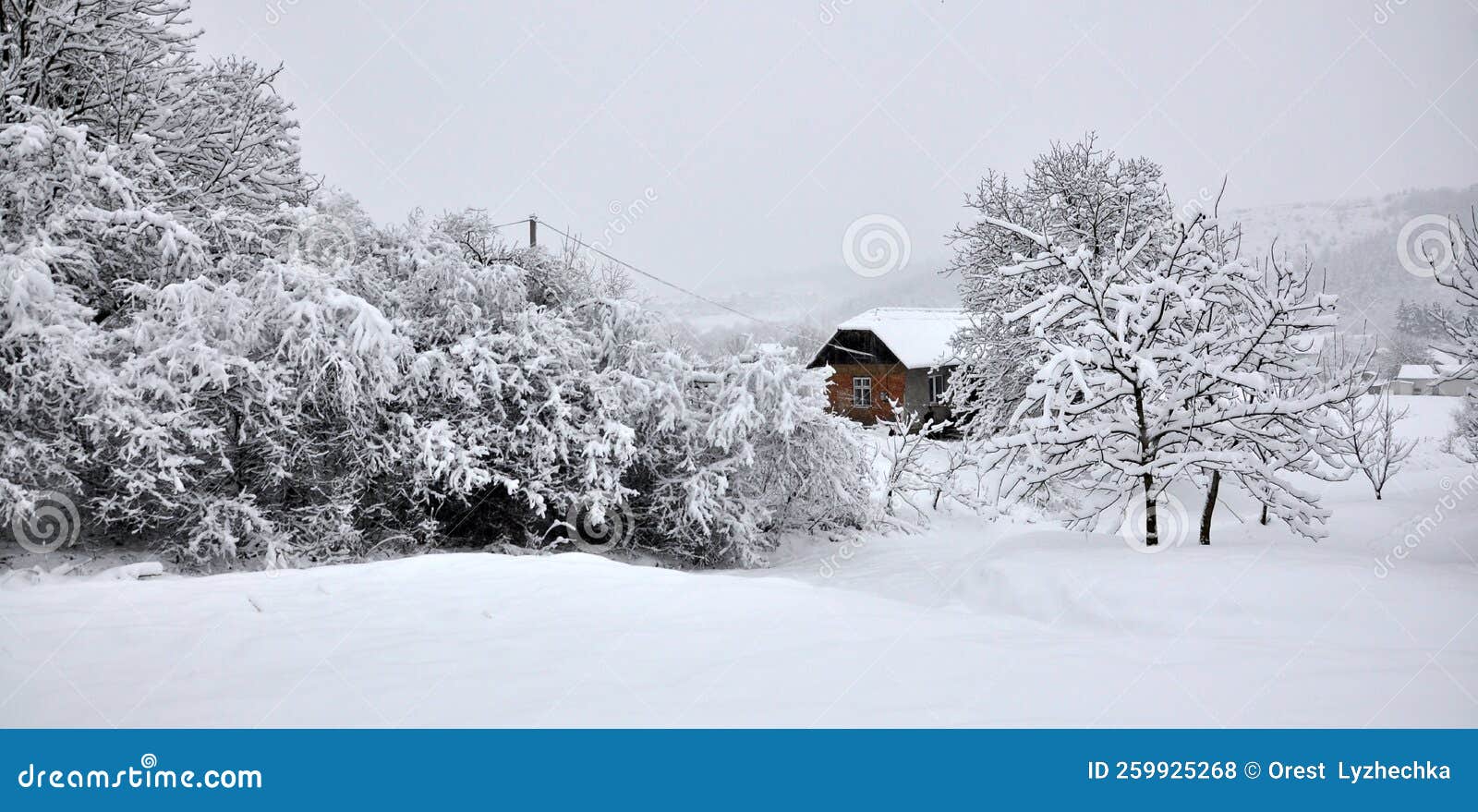 Winter Scenes after the First Snowfall Stock Photo - Image of round ...
