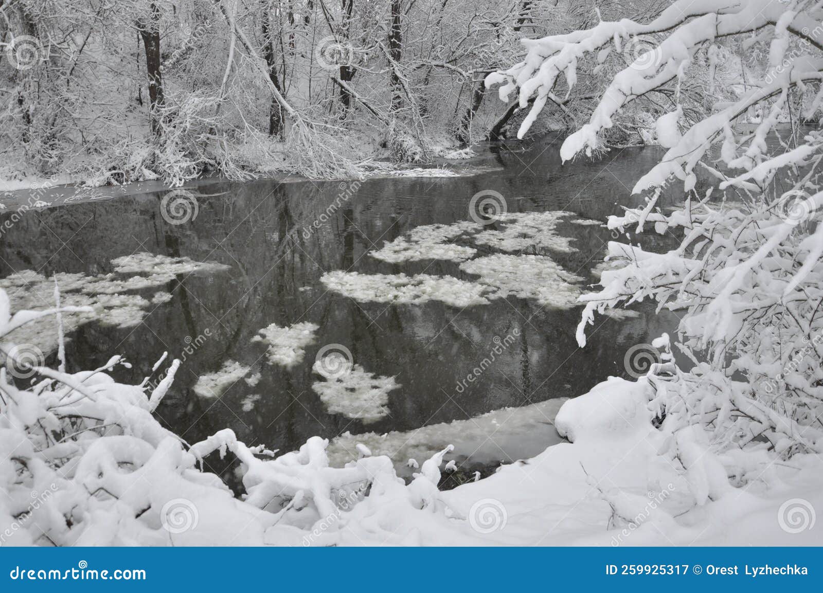 Winter Scenes after the First Snowfall Stock Image - Image of white ...
