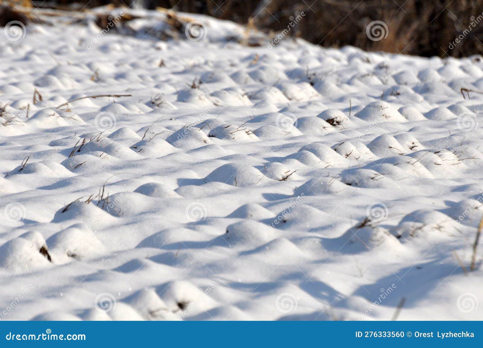 The First Snowfall Occurred In The City Park. Snow Is On The Lawns ...