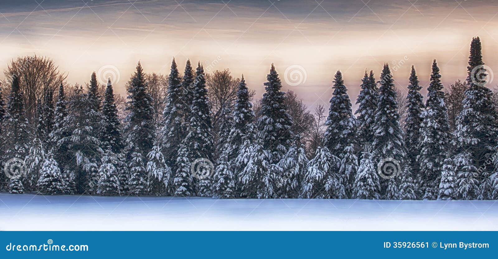 Winter scenic landscape stock image. Image of frost, scenery - 35926561