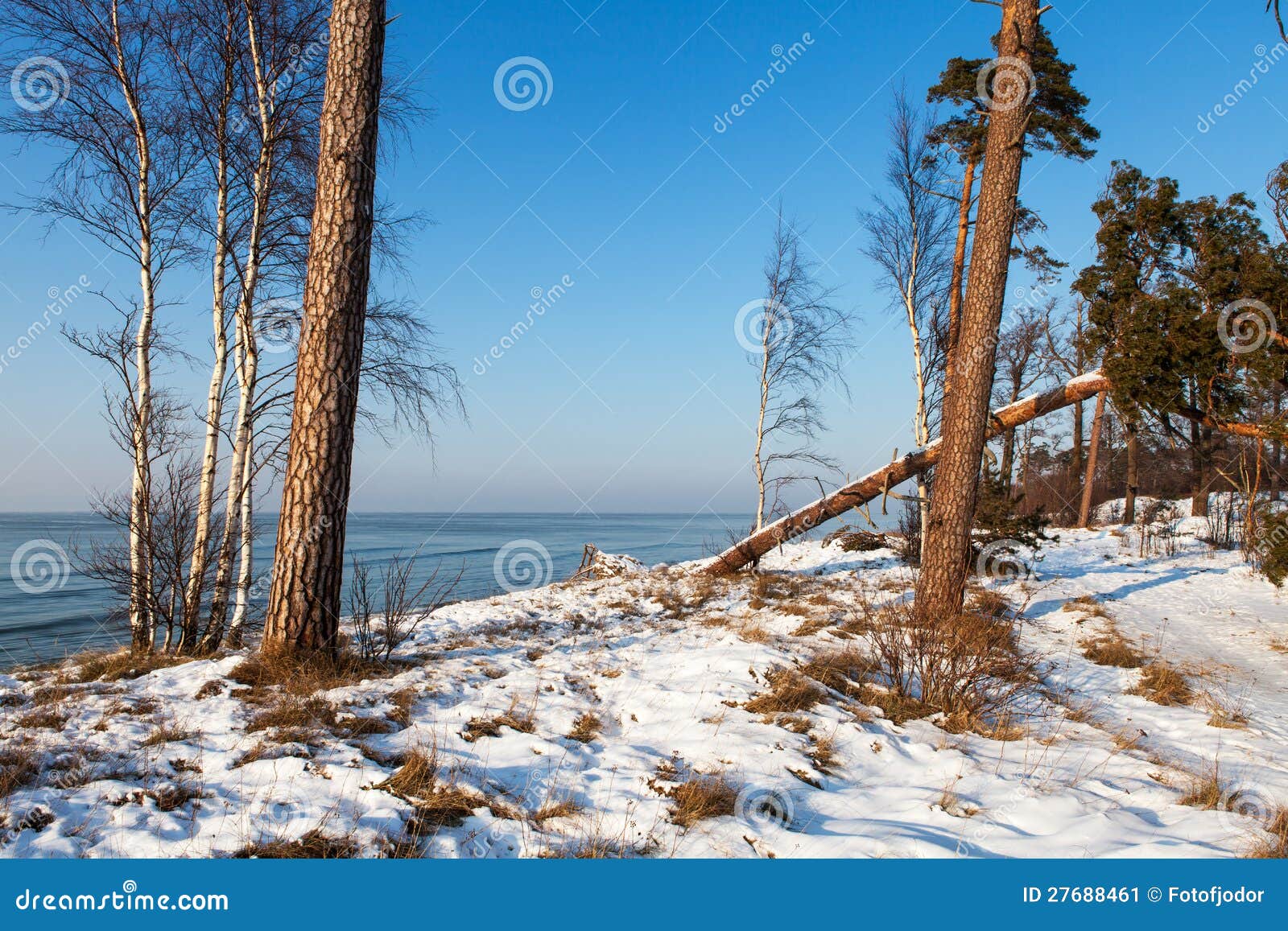 Winter scenic view stock image. Image of sunny, coastline - 27688461