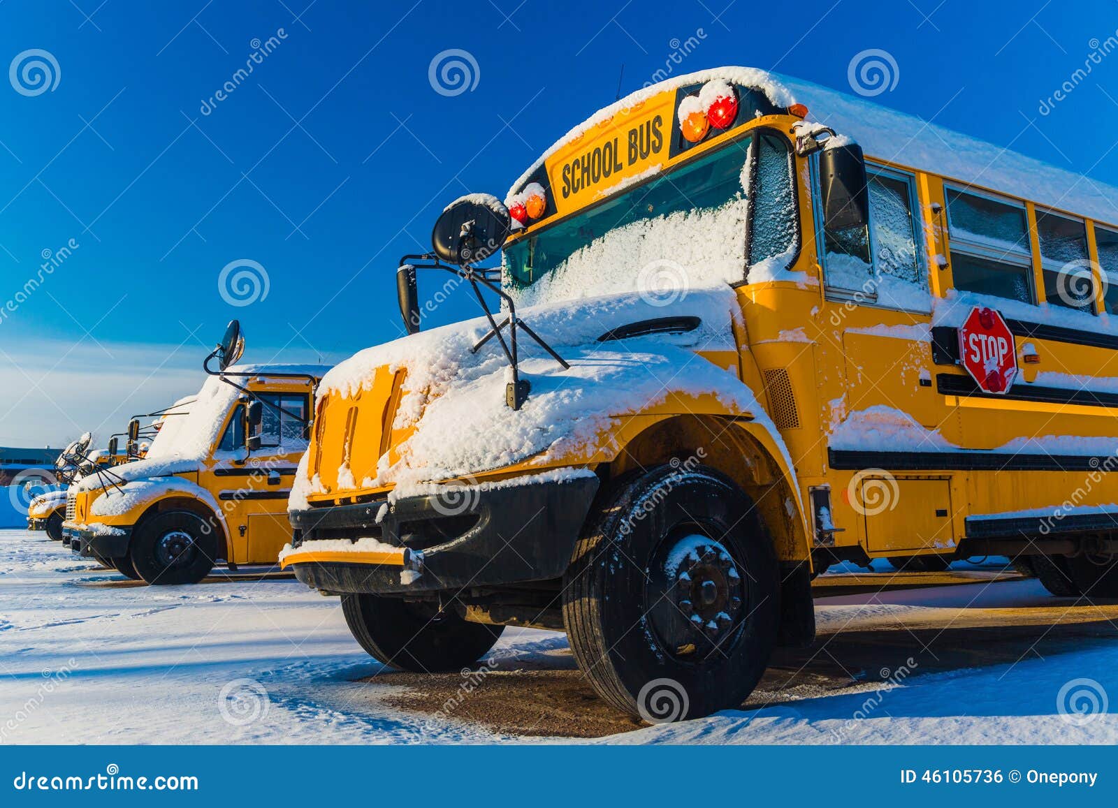 Winter School Bus stock photo. Image of travel, transportation - 46105736