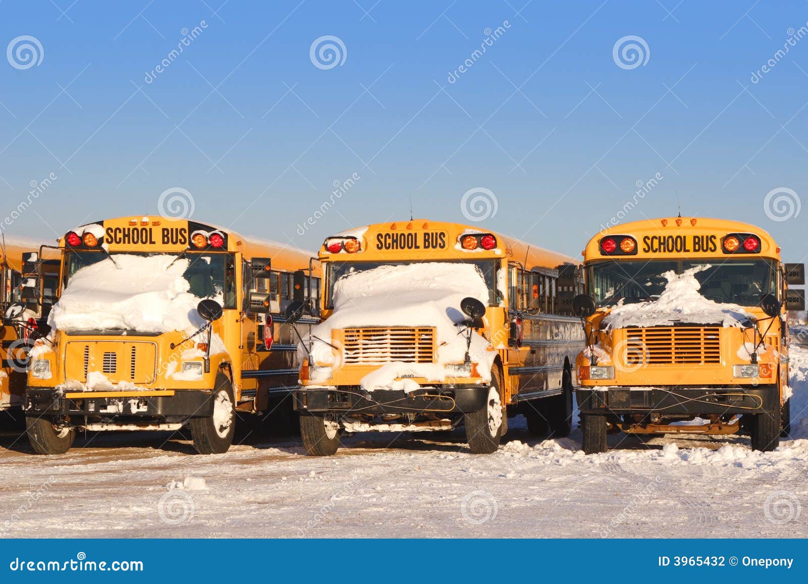 103 Winter School Buses Stock Photos - Free & Royalty-Free Stock Photos ...