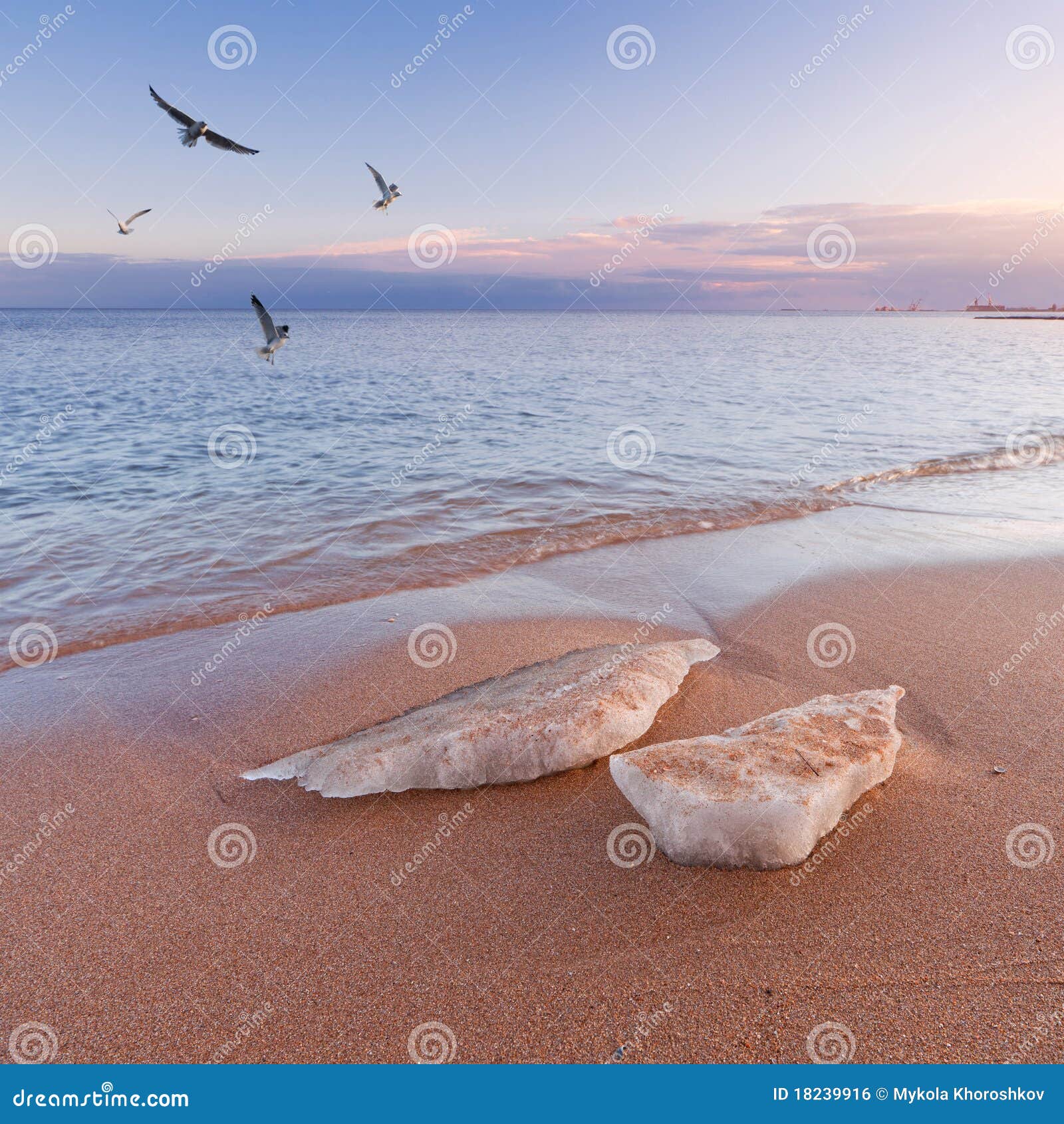 Winter sea landscape stock photo. Image of north, ocean - 18239916