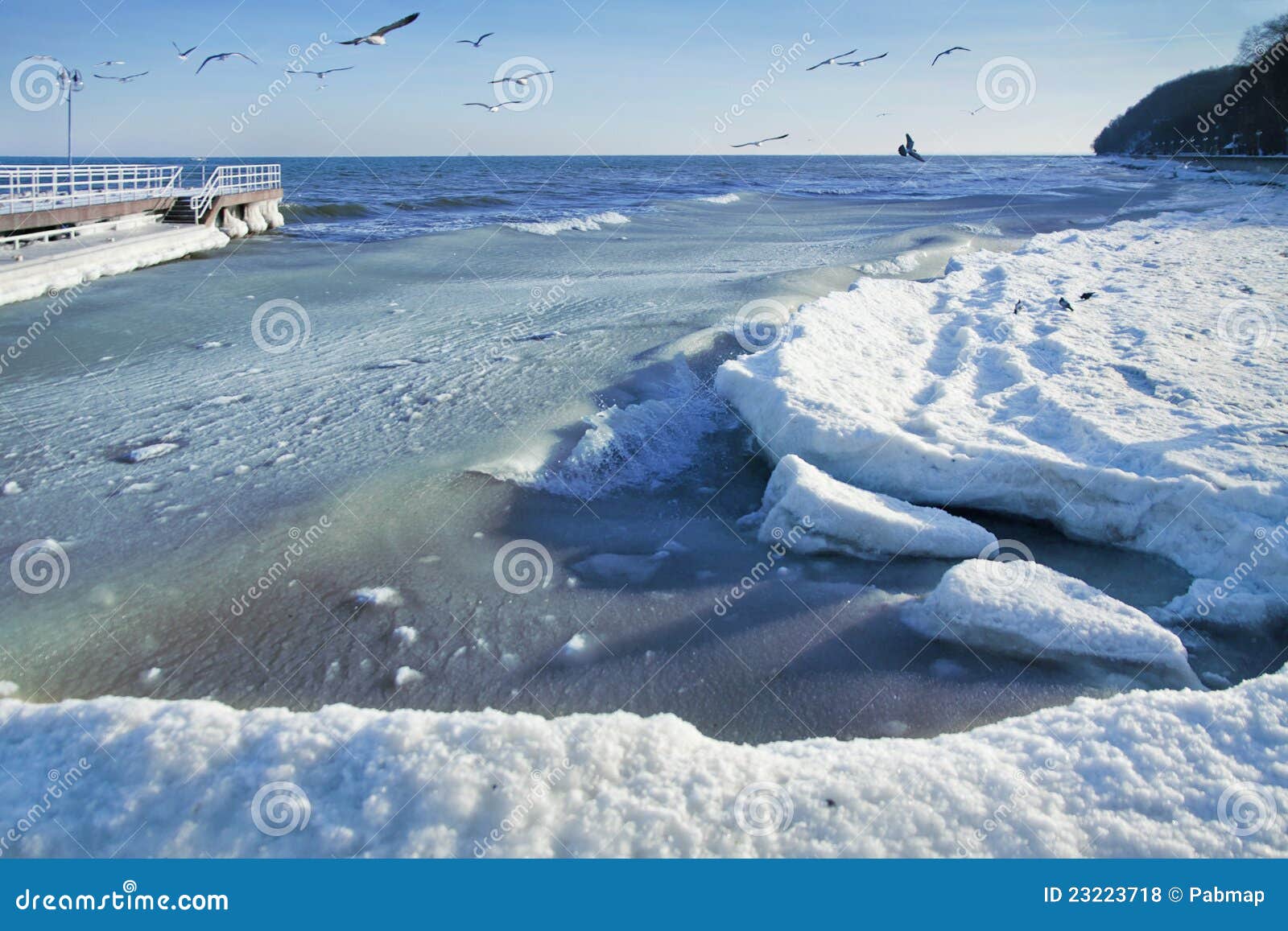 Winter sea landscape stock photo. Image of seagull, white - 23223718