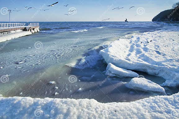 Winter sea landscape stock photo. Image of seagull, white - 23223718
