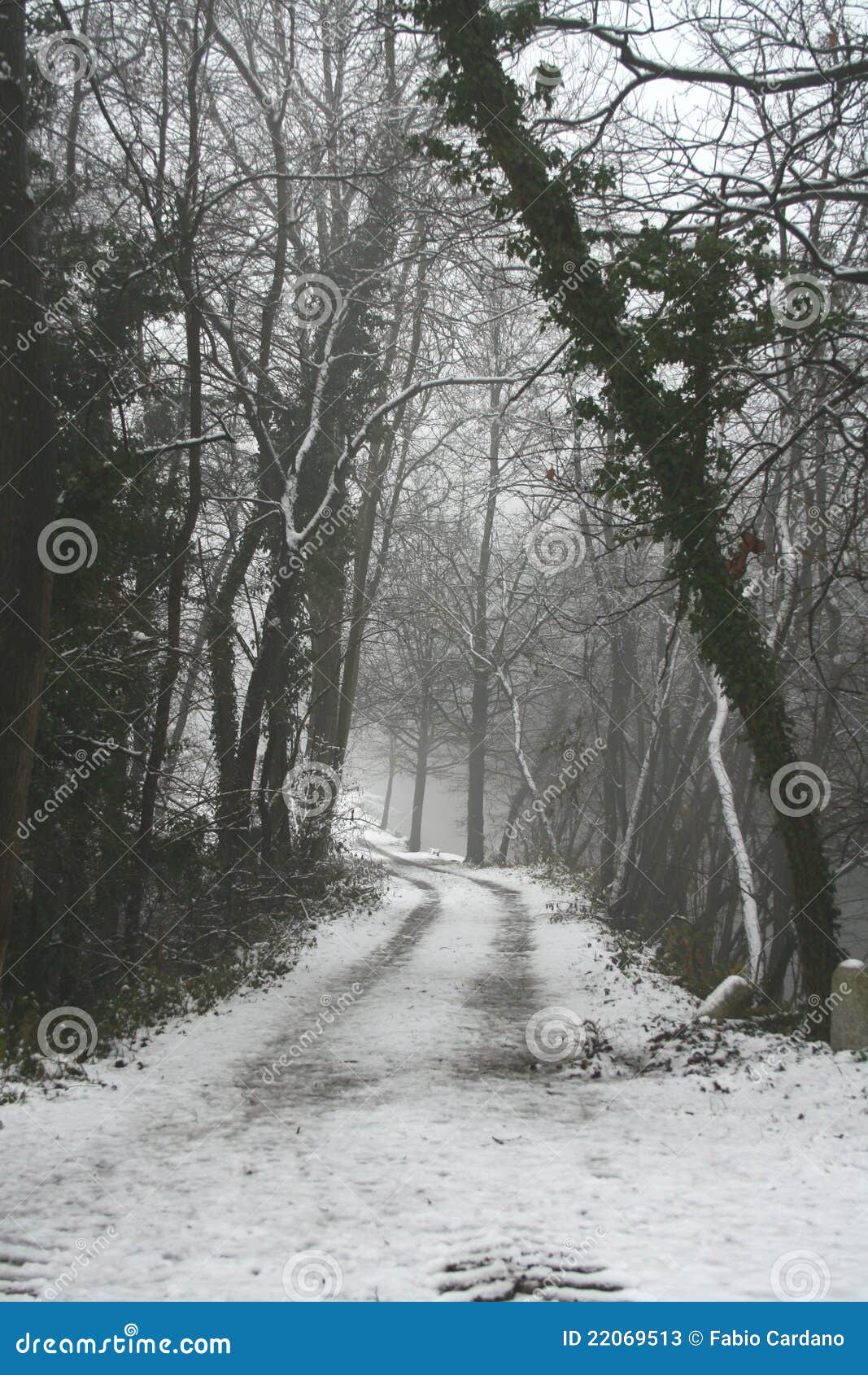 Winter season stock image. Image of cold, wood, nature - 22069513
