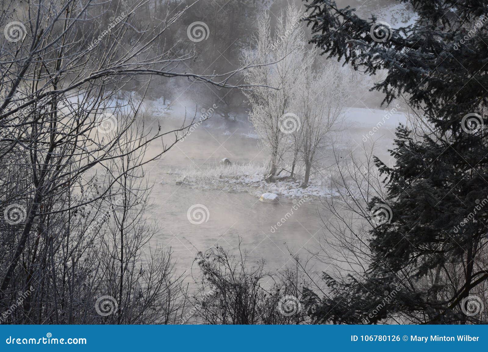 Winter Season in the Pacific Northwest Stock Photo - Image of cold ...