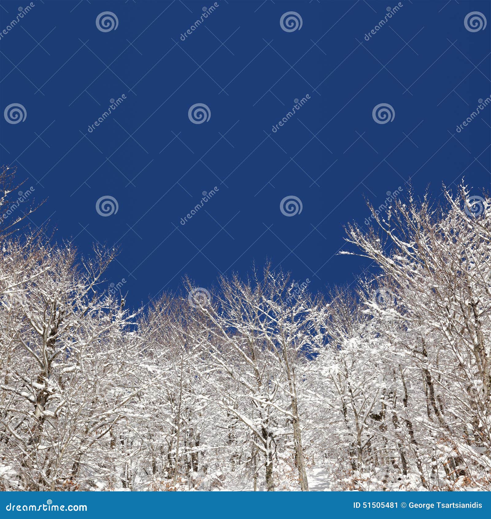 Winter seasonal snow stock image. Image of cold, nature - 51505481