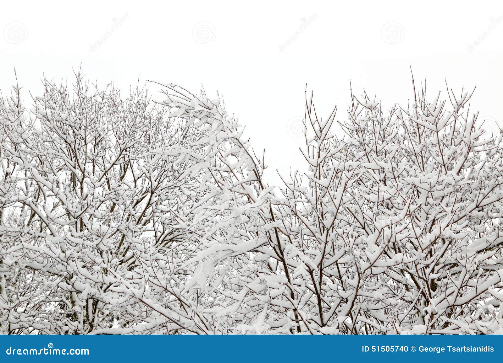 Winter seasonal snow stock photo. Image of season, scene - 51505740