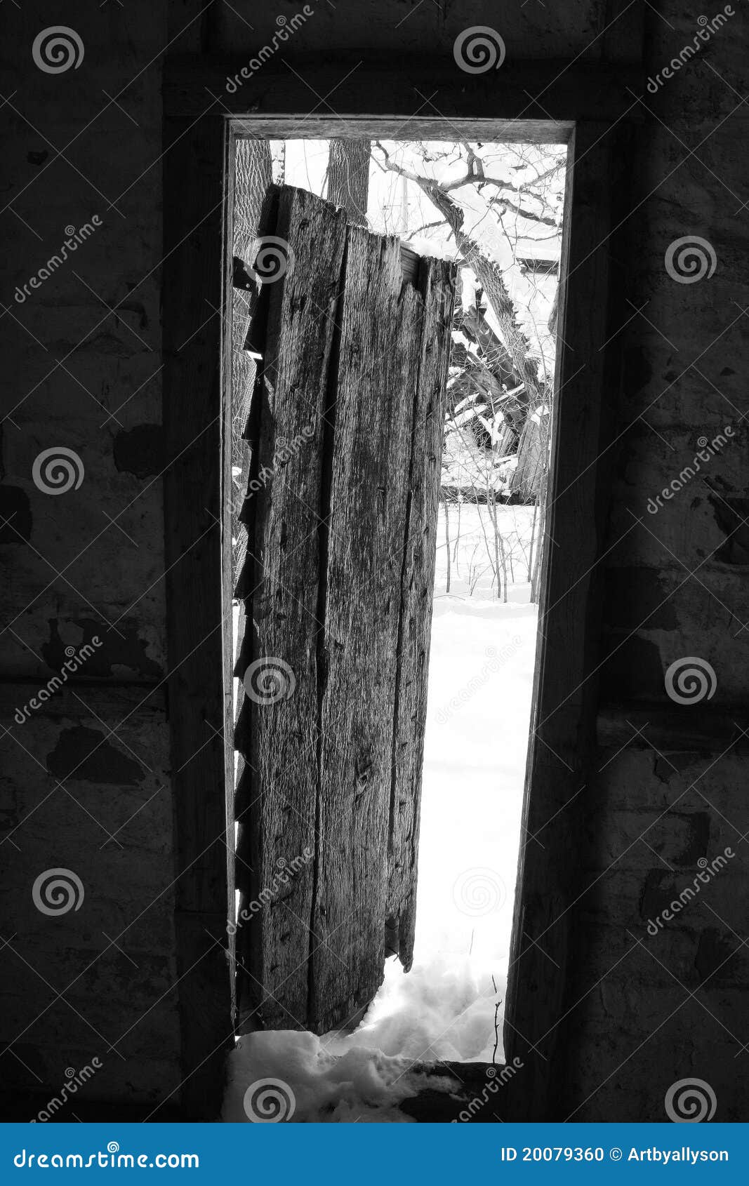 Winter Shack Door stock photo. Image of winter, trees - 20079360