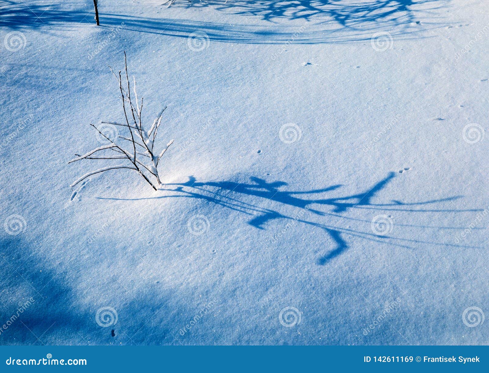 Winter shadow play stock image. Image of shadow, exterior - 142611169