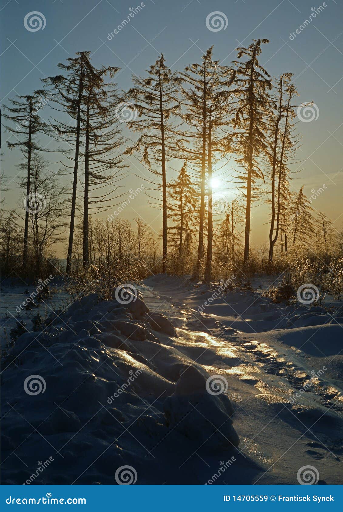 Winter shadow play stock image. Image of winter, snow - 14705559