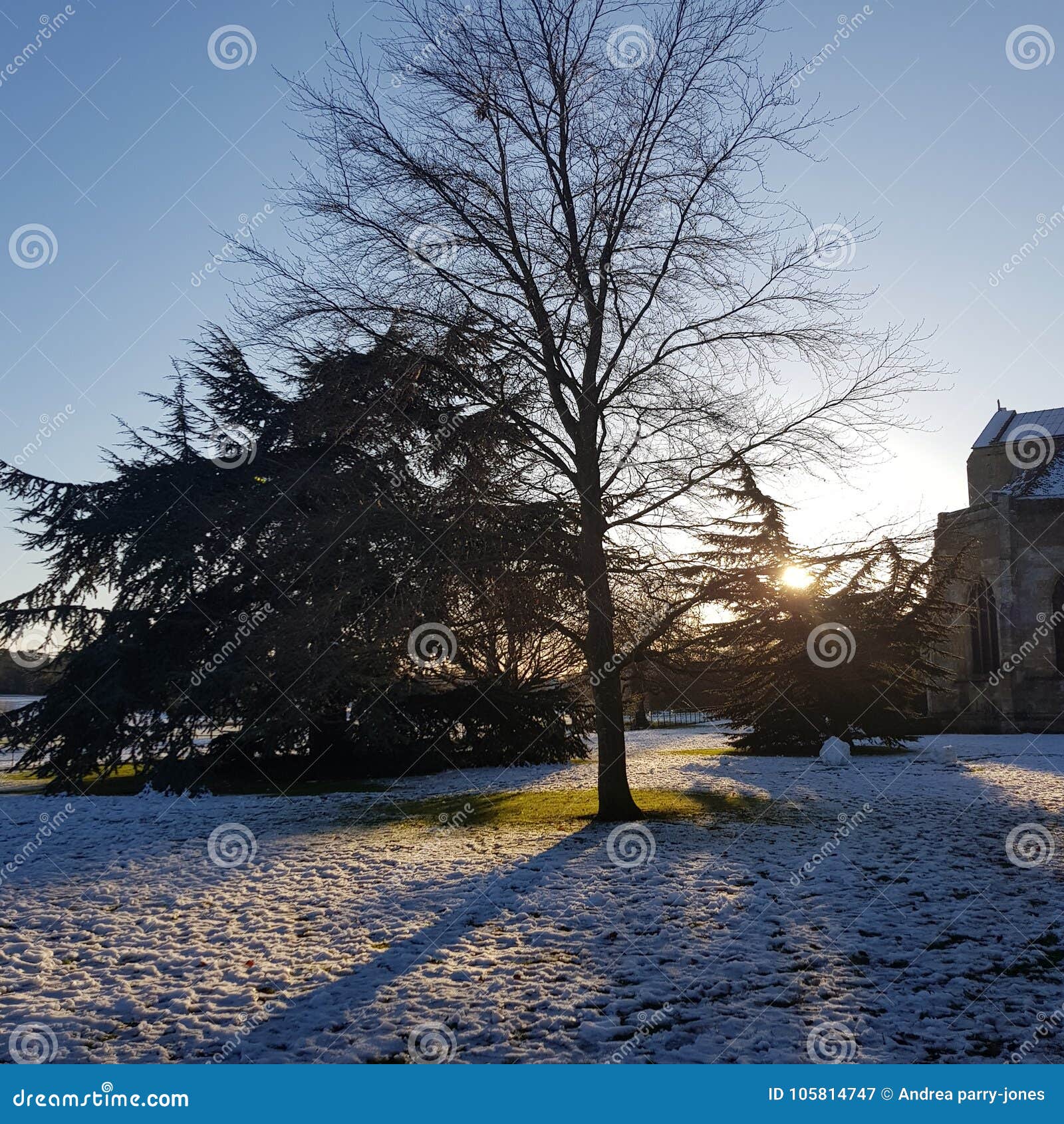 Winter shadow stock image. Image of sunlight, outdoors - 105814747