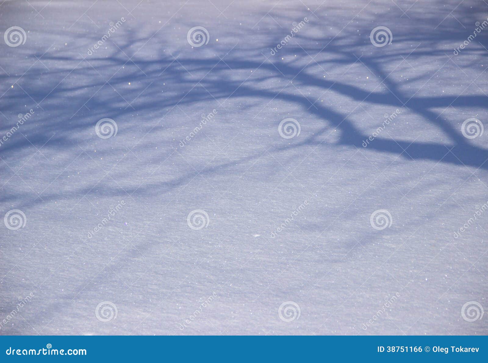 Winter shadows stock photo. Image of background, white - 38751166