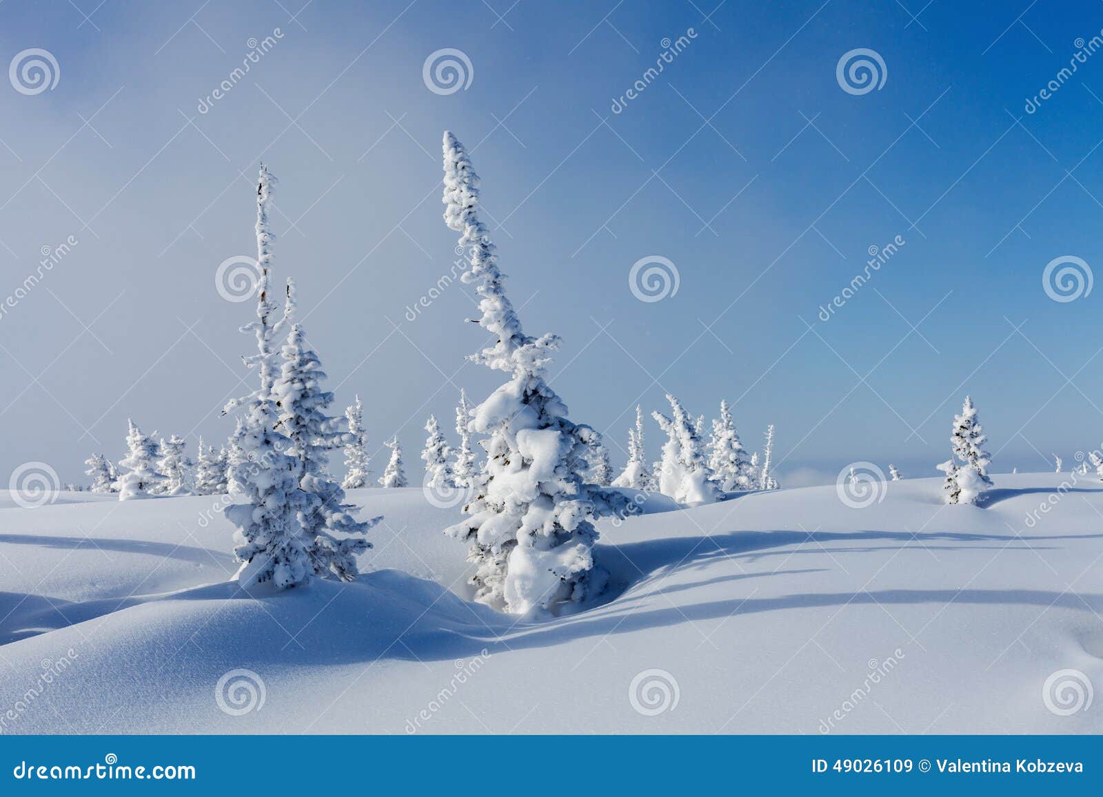 Winter in Siberia stock image. Image of light, building - 49026109