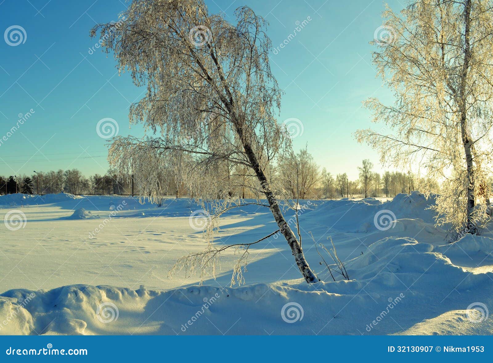 Winter Siberian stock image. Image of lonely, white, siberian - 32130907
