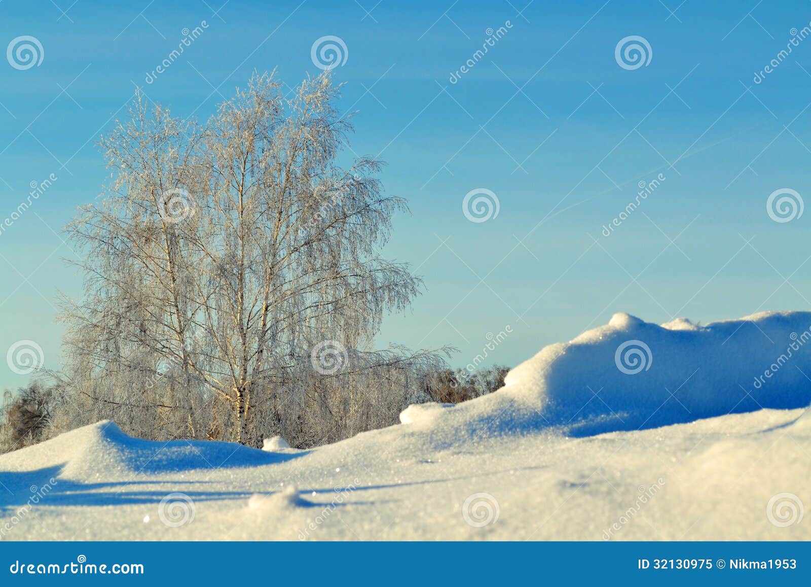 Winter Siberian stock image. Image of foreststeppes, white - 32130975