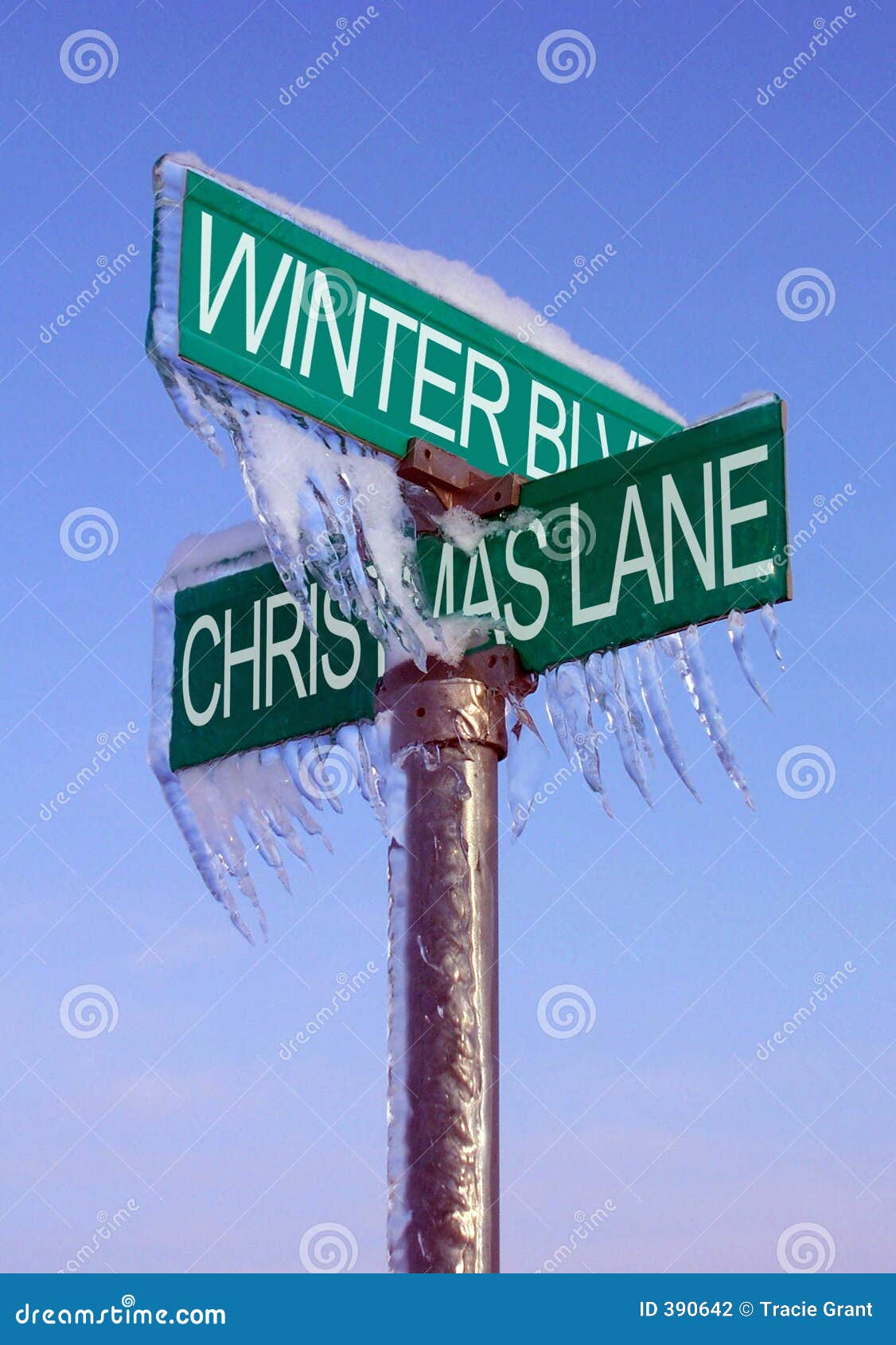 Winter Sign stock photo. Image of street, green, city, christmas - 390642